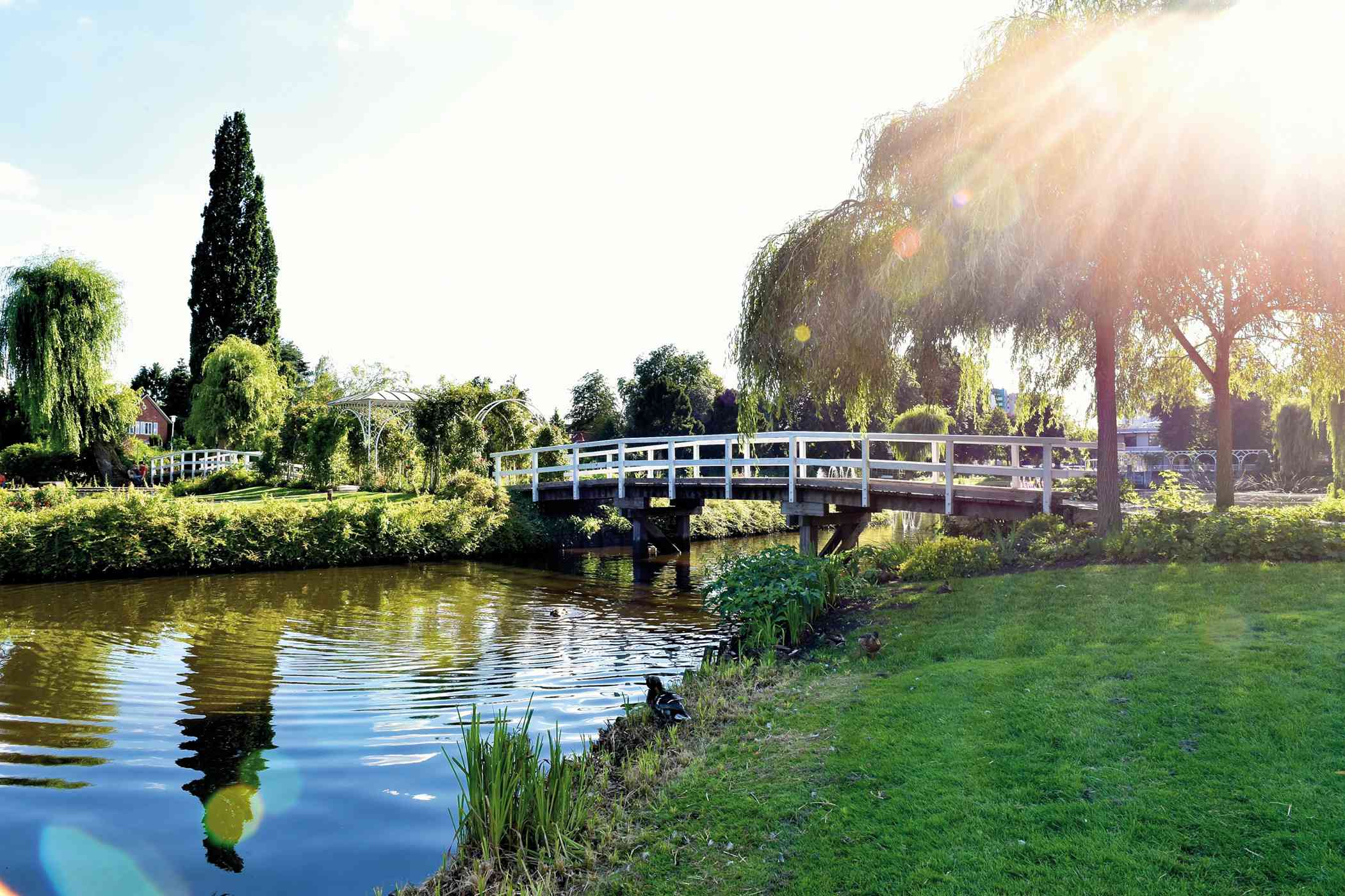 Parkhotel-Rosarium**** heiraten in der Rosen und Hochzeitsstadt Uetersen
