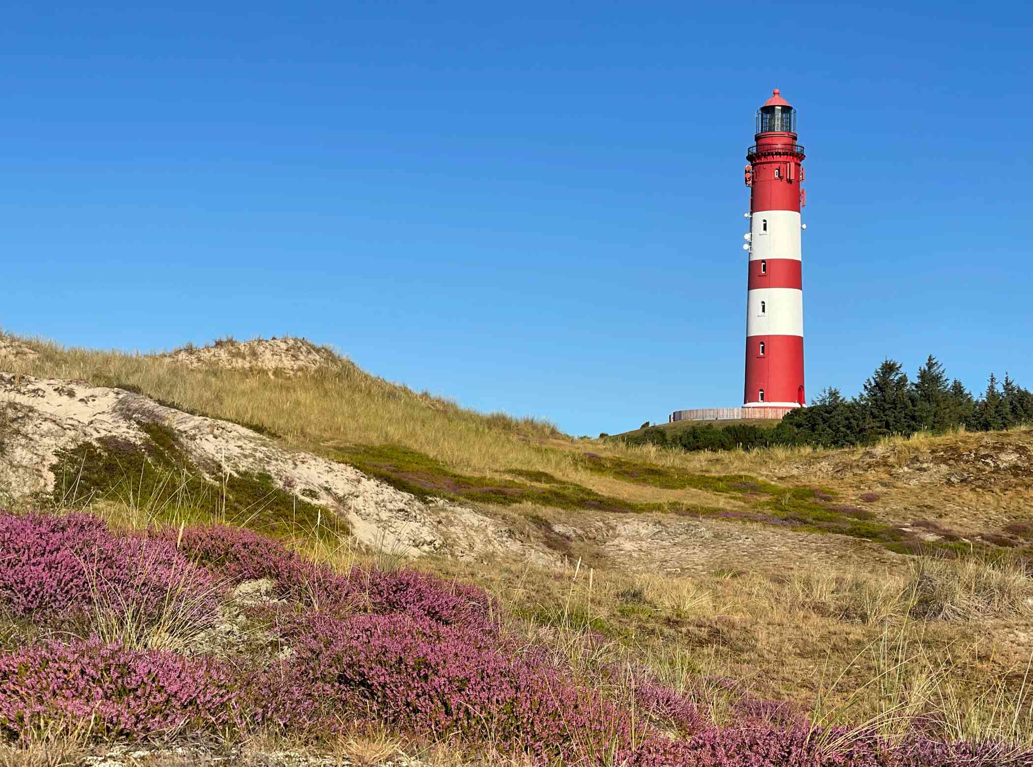 Standesamt Föhr Amrum II