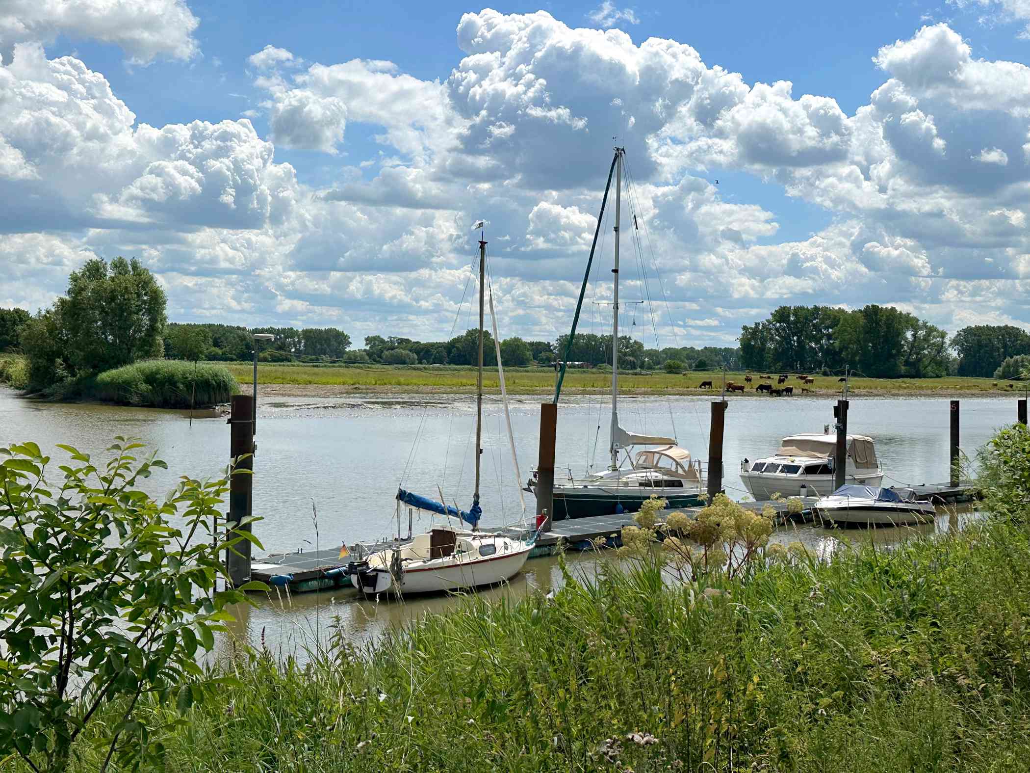 Stilvolle Fhre Wischhafen Wartezeit Fotos